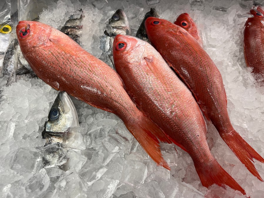 Expanded red snapper fishing season halted by federal court