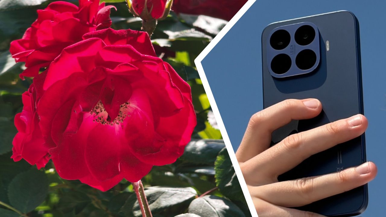 I took over 500 photos on the ‘telephoto master’ Xiaomi 17T Pro — here ...