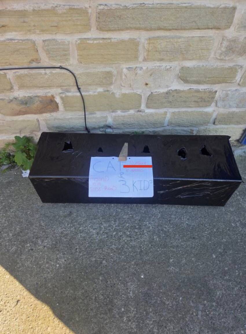 Duct-taped box appears at vet office — and staff can't believe what's ...
