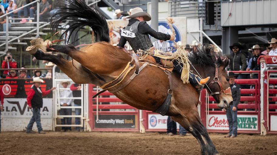 Dust & dollars: Sage Newman and Luke Mackey lead weekly earnings for ...