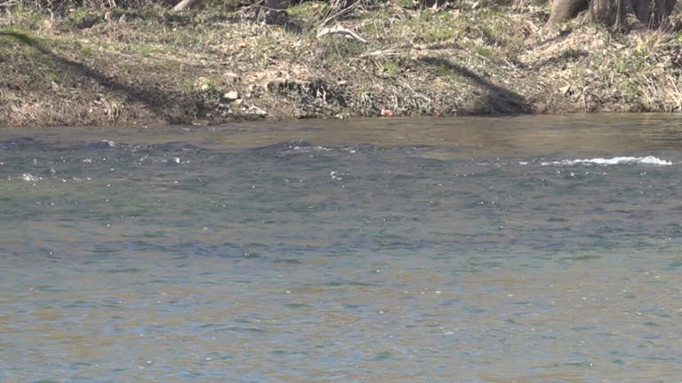 NC drought eases slightly after heavy rain, but most areas still parched