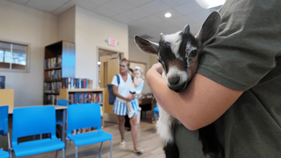 Baby goats, bunnies draw crowds for storytime at Adamstown Area Library