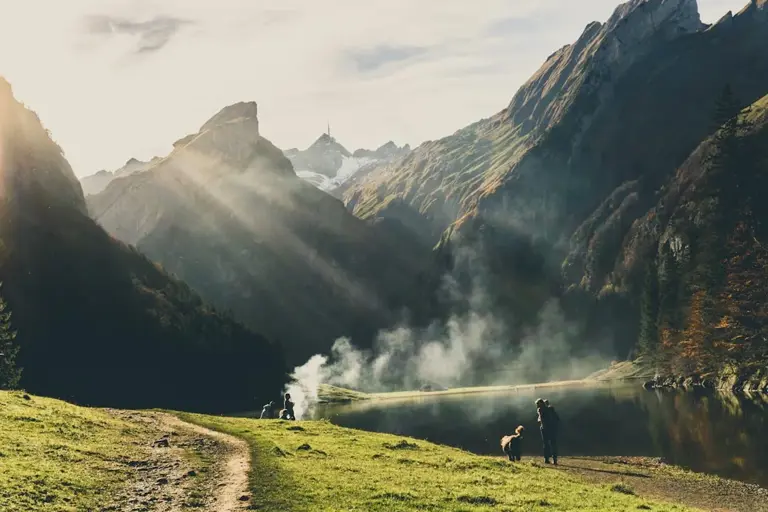Escaping to the high Alps: Discovering Switzerland's lush summer trails