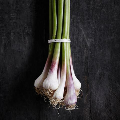 How to tell spring onions, scallions, garlic scapes, leeks, and ramps apart