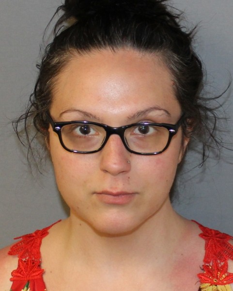 Waterloo woman accused of intentionally hitting parked car, endangering ...