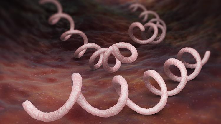 Eastern Virginia health leaders say congenital syphilis cases dropped ...