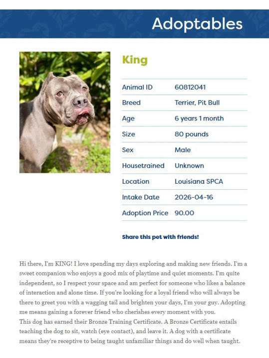 Neighborly Natalie introduces us to King the life-saver & Suzy Cute at ...
