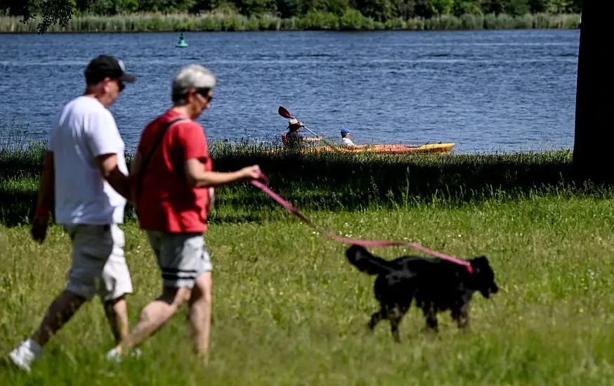 New summer guides reveal top dog-friendly destinations