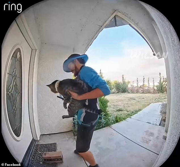 Family heartbroken after Amazon delivery driver was filmed stealing ...