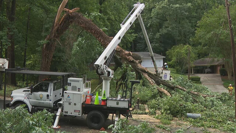 Tree knocks down power lines, narrowly misses Sandy Springs homes