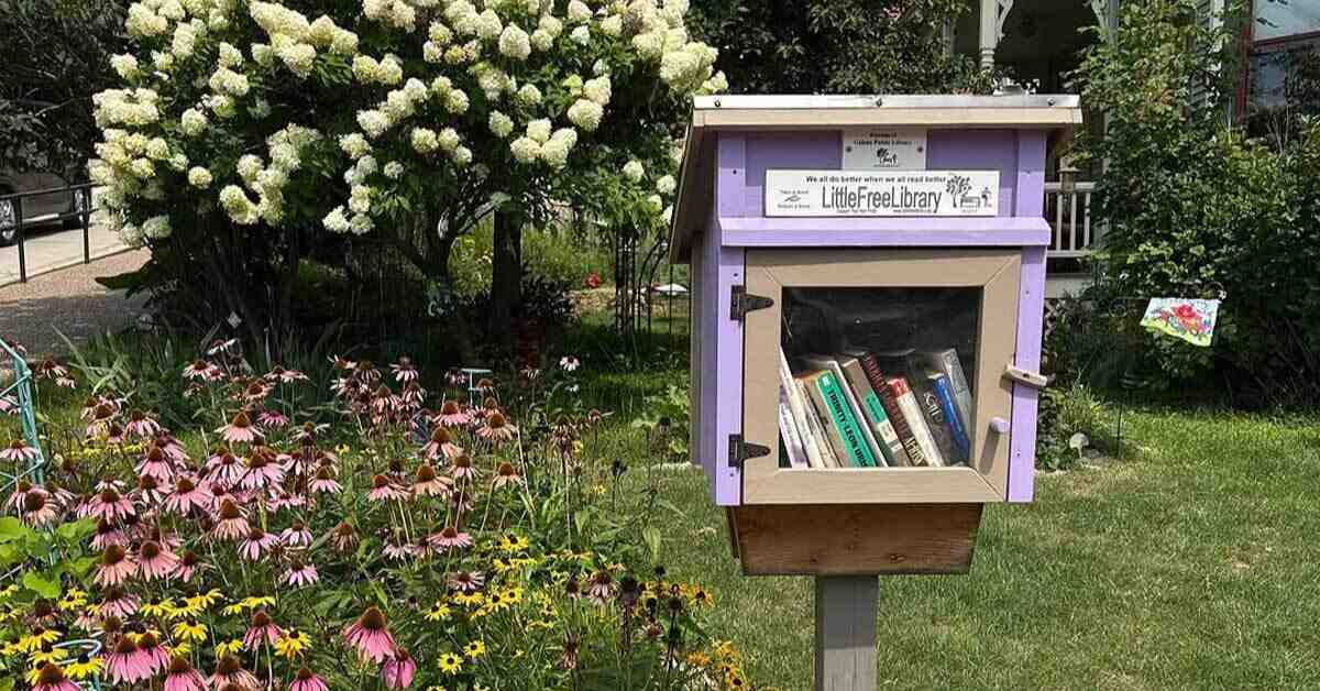 'Little Bee Libraries' turn book boxes into adorable pollinator sanctuaries