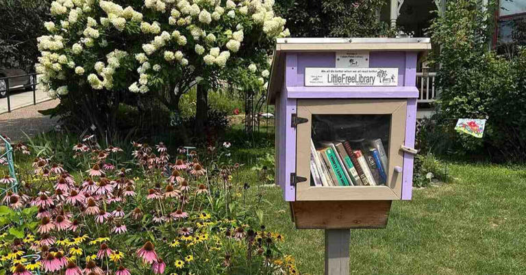 'Little Bee Libraries' turn book boxes into adorable pollinator sanctuaries