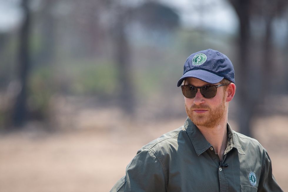 Indigenous rights group calls on Harry to step down from African Parks ...