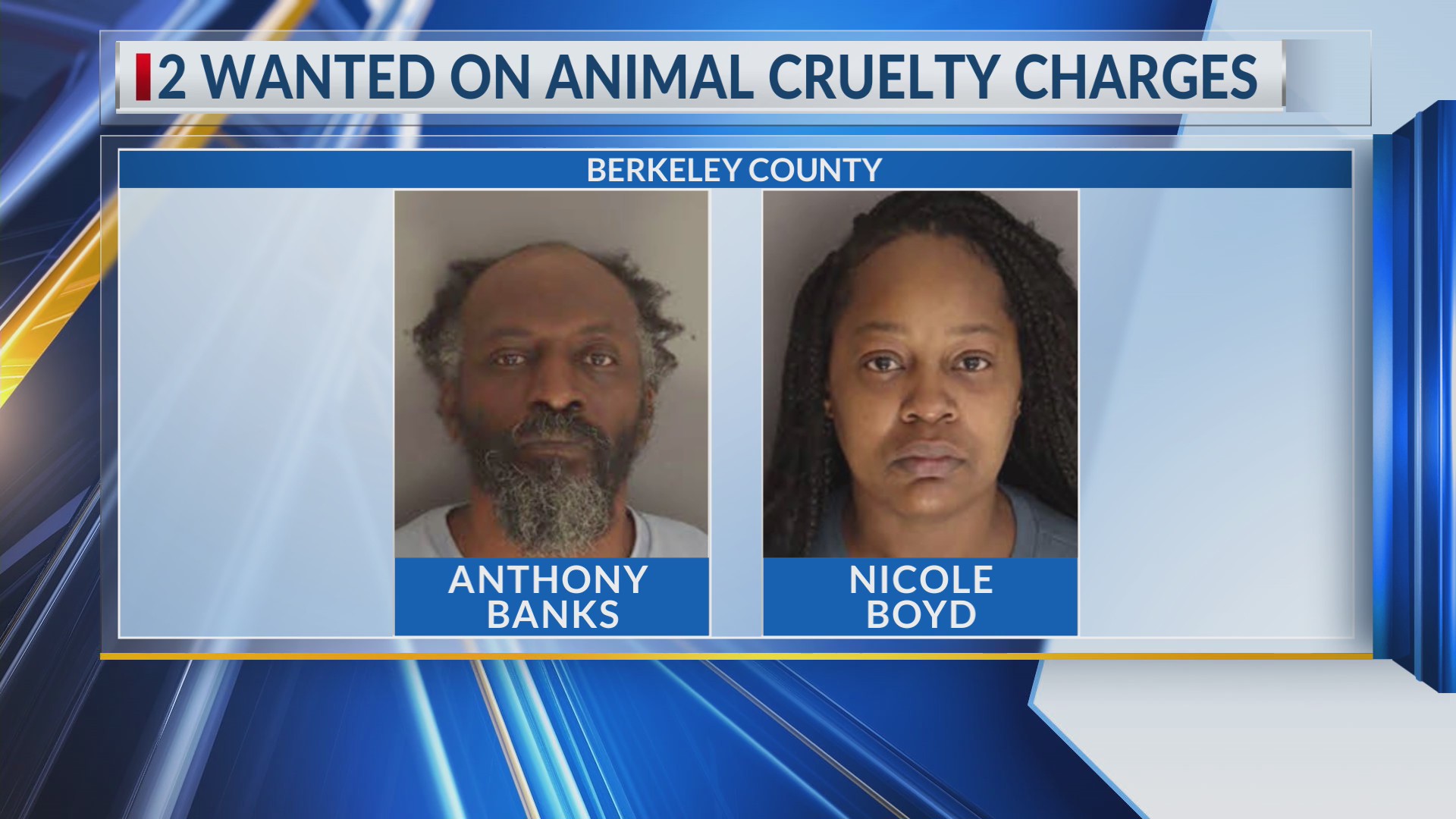 Deputies look for two suspects after dog fighting and animal cruelty ...