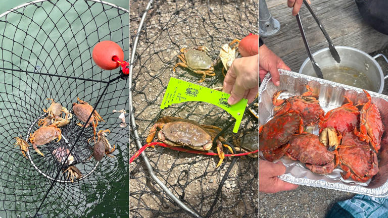 The Bay Area's easiest spots for beginner crabbers