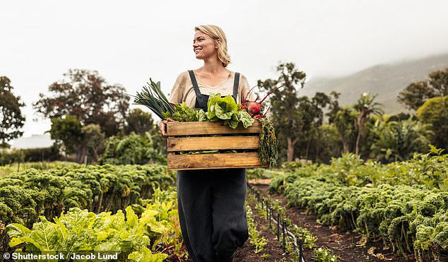 Shock as consumers learn organic produce costs 60 percent more than ...