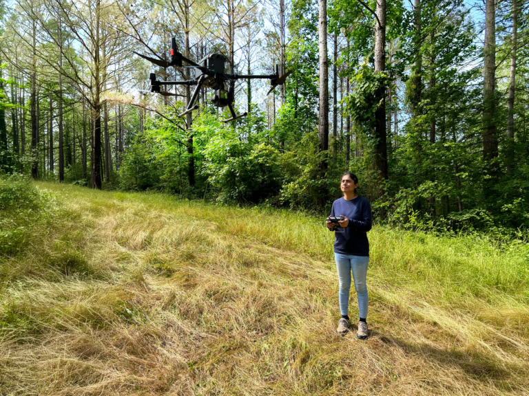 Auburn scientists use drones and AI to track devastating pine tree ...