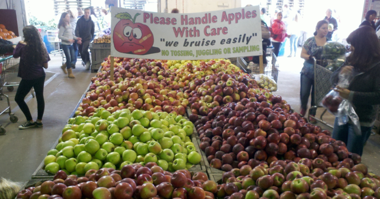 This Long Island farm lets you fill buckets with fresh berries