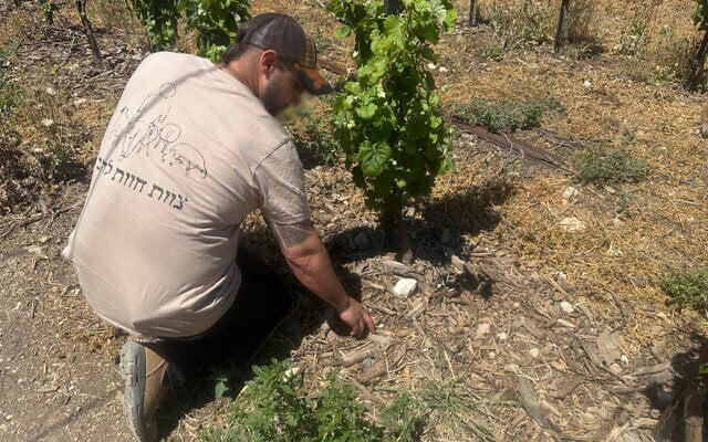 Germinated by its founder’s trauma, growing farm network cultivates ...