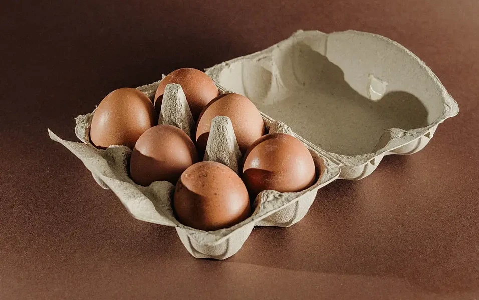 Egg consumption linked to lower Alzheimer’s risk in long-term study