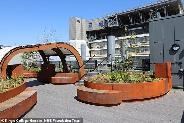 NHS hospital opens critical care unit on its roof in the hope fresh air ...