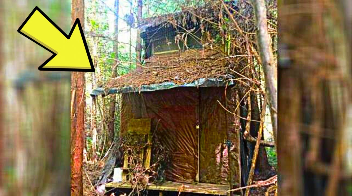 This forest ranger stumbles upon a mysterious cabin in the woods with a ...
