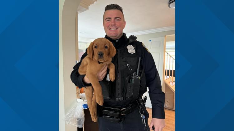 BPD identifies officer and suspect who were shot Tuesday afternoon