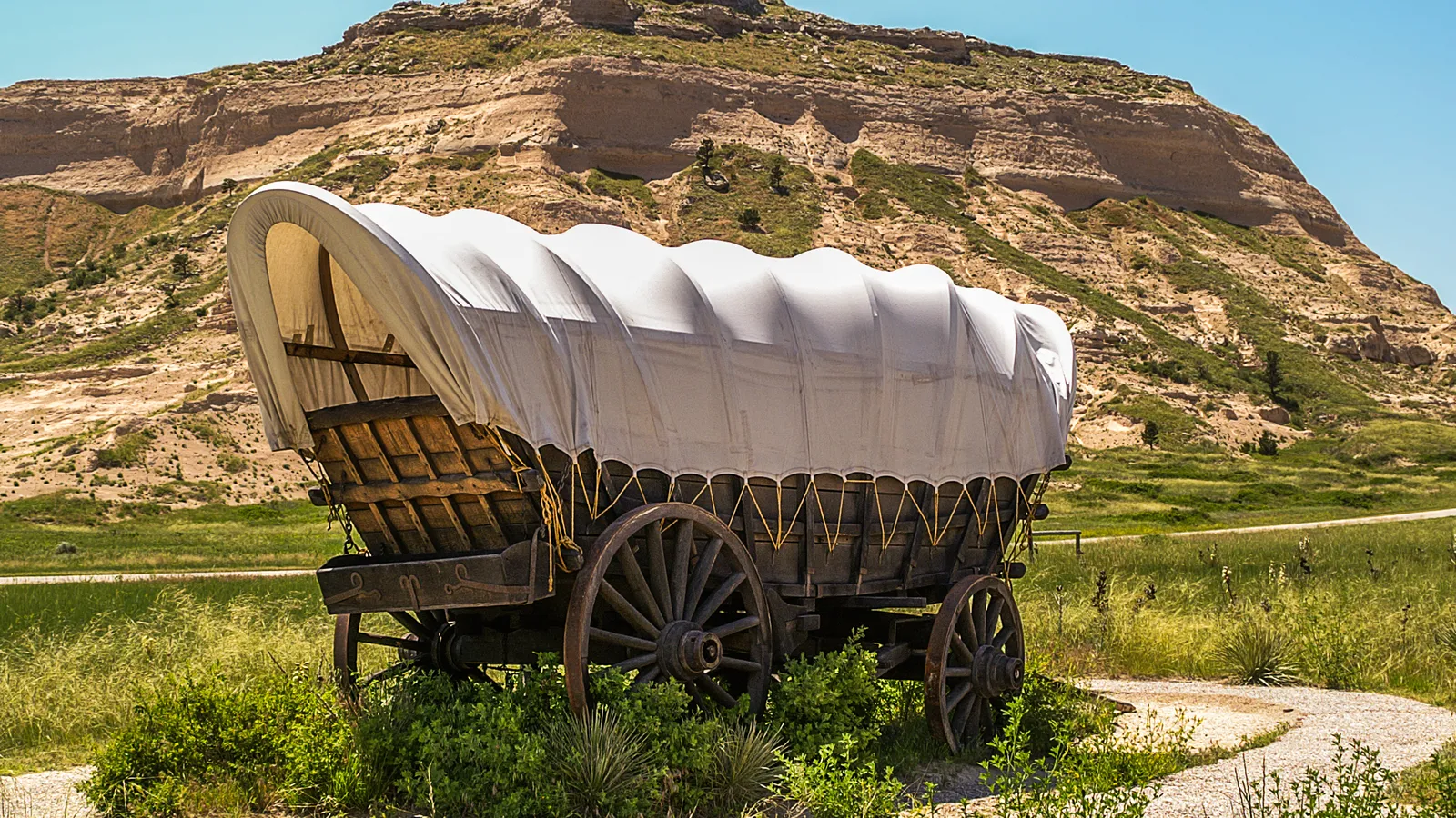 Remember hunting buffalo on the Oregon Trail? Here’s what settlers ...