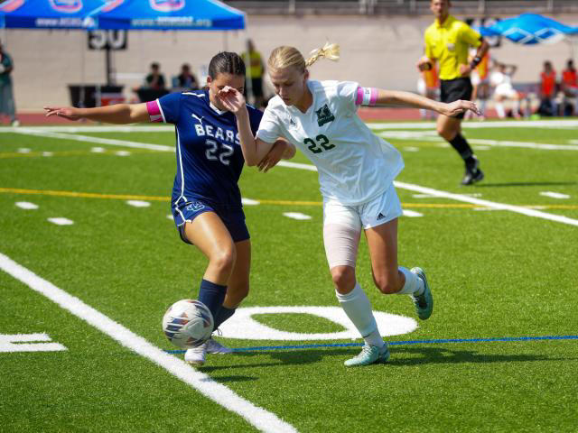 Woods Charter wins first girls soccer title, downs Summit Charter in 1A ...