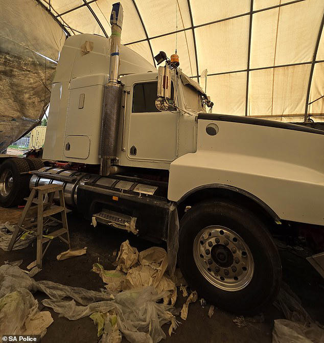 Man who allegedly racked up $8,000 fuel thefts in Aussie city used fake ...