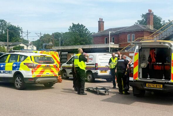Man dies after being struck by high-speed train following A1 custody ...