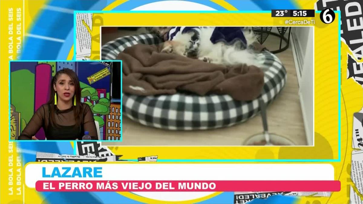“Lazare”, el perro más viejo del mundo