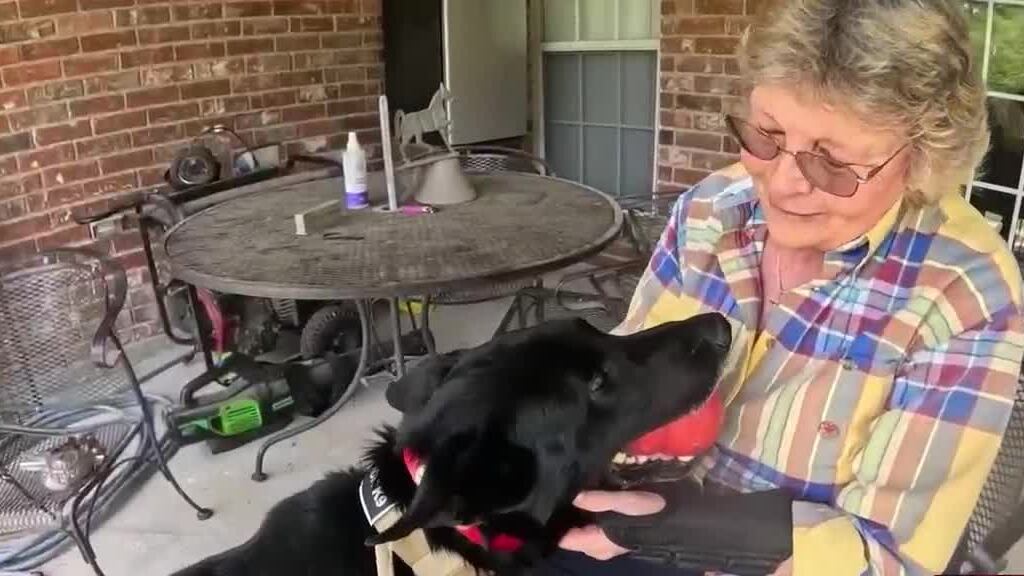 Retired police chief finds a new partner in retired military dog ...
