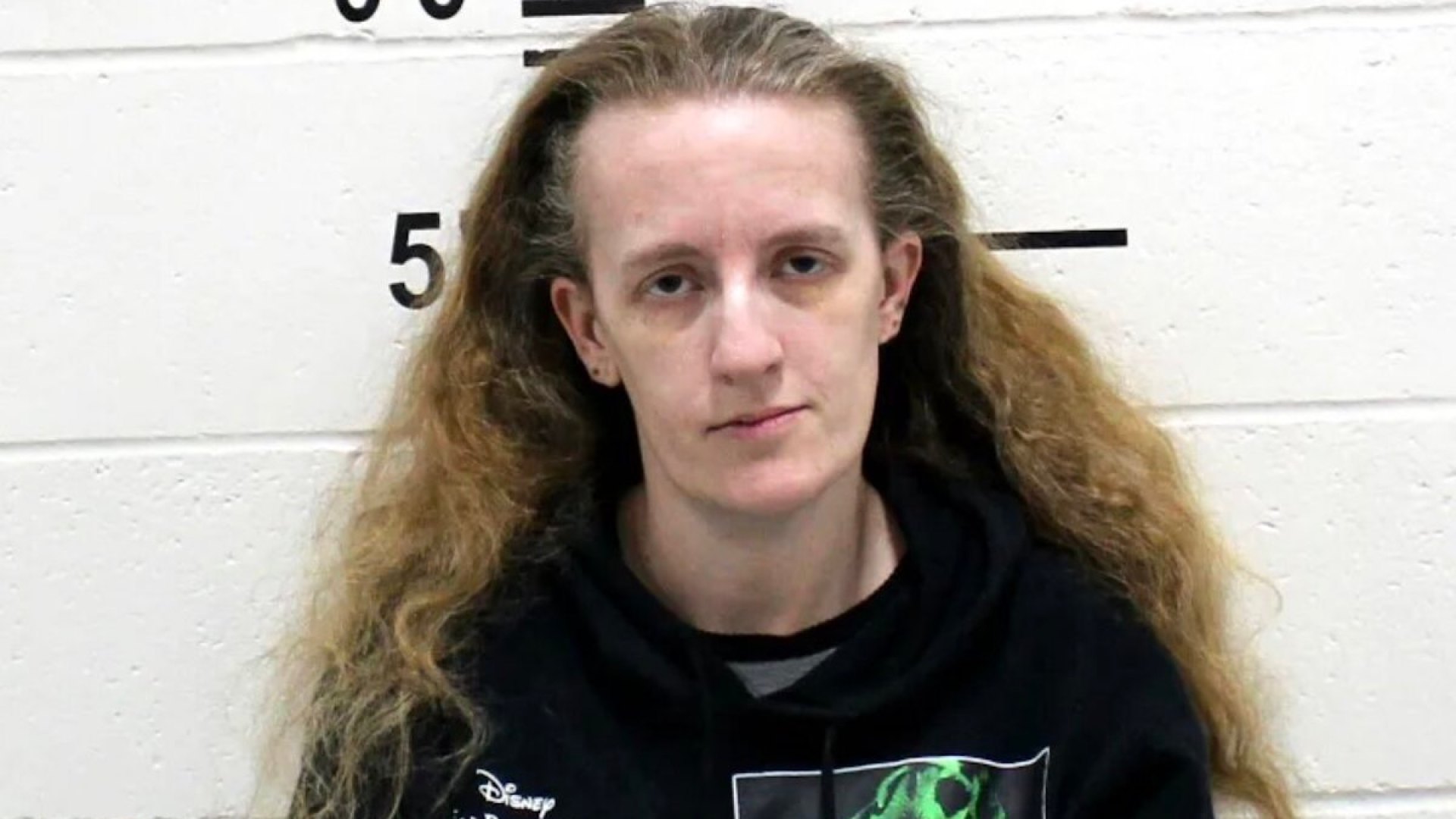 Woman gave oxycodone-laced lasagna to pregnant woman to cause miscarriage