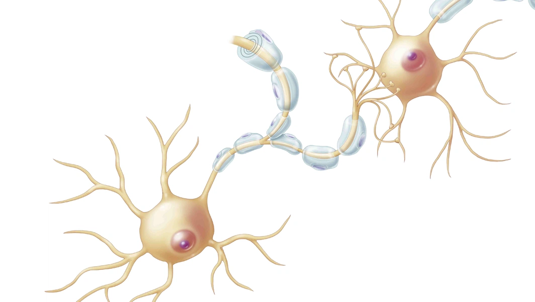 Experts outline fast, science-backed relief for hot flashes