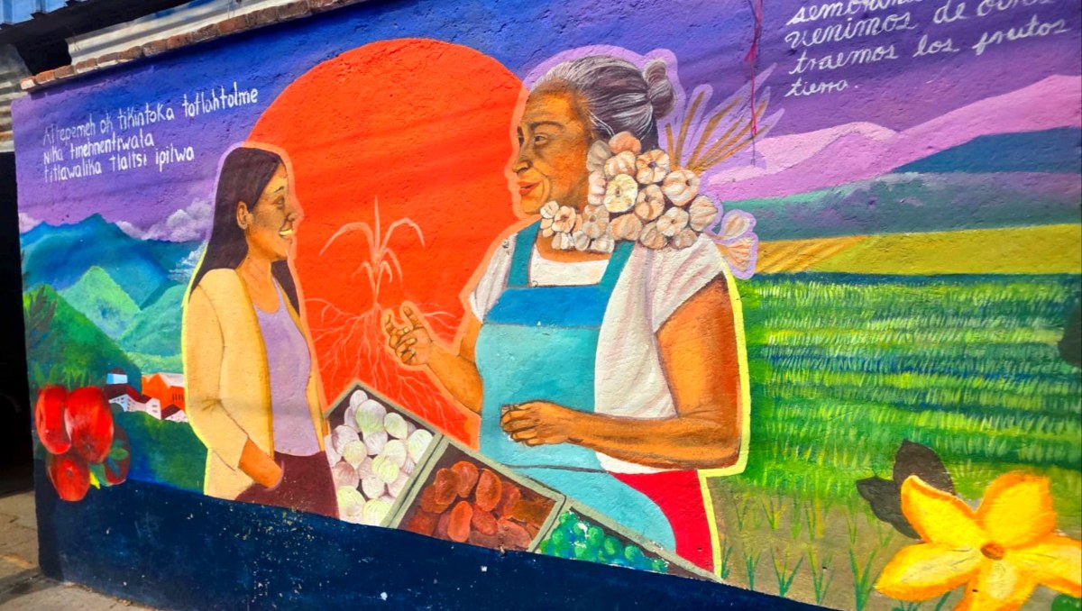 El mercado cobra vida: Murales retratan historias y tradiciones en 'La ...