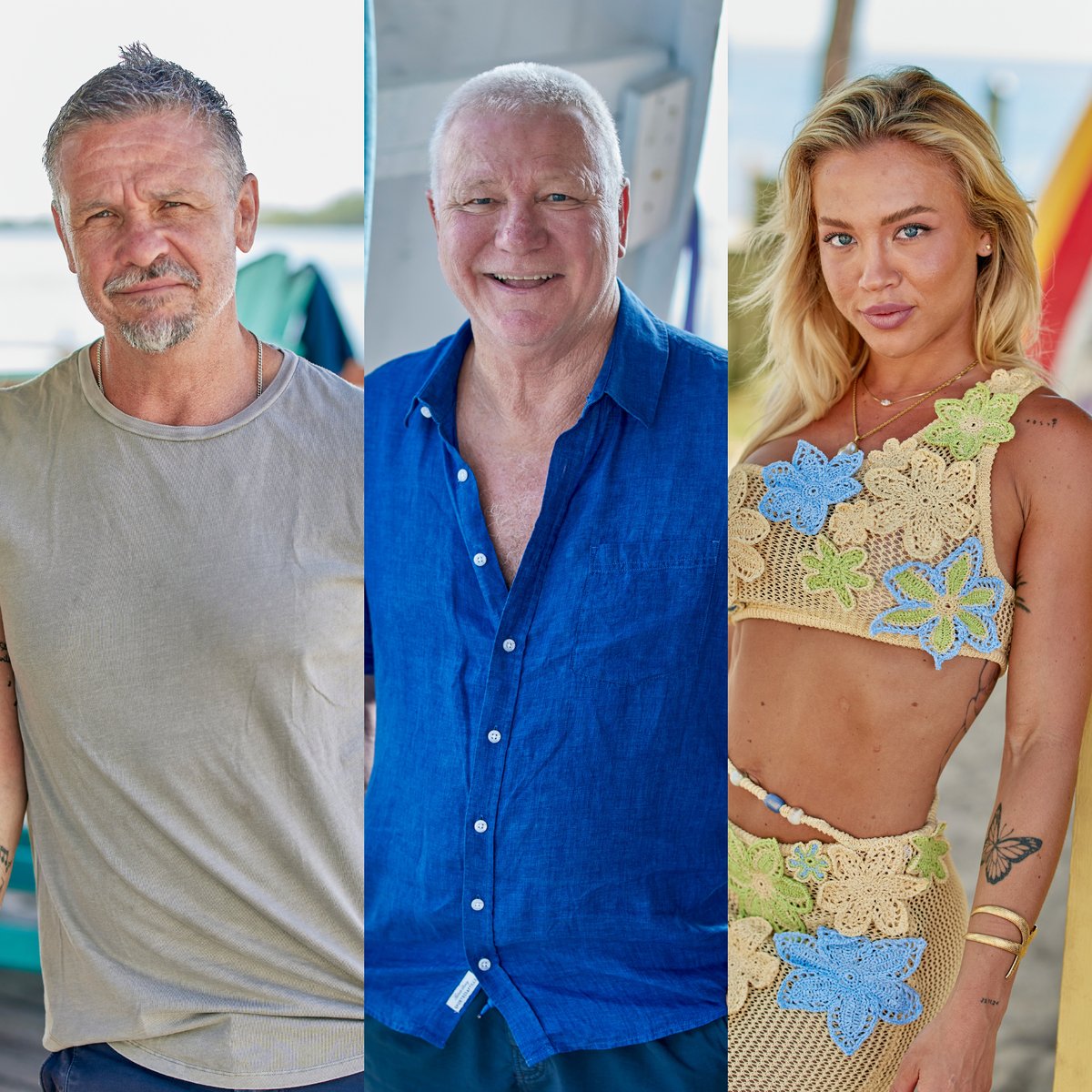 I urgently need to discuss this new reality show about famous people ...