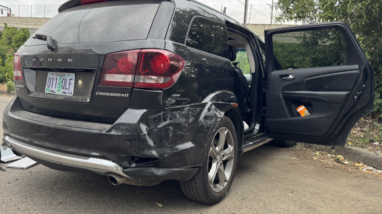 Man named Loony Toon sentenced after police chase, shooting