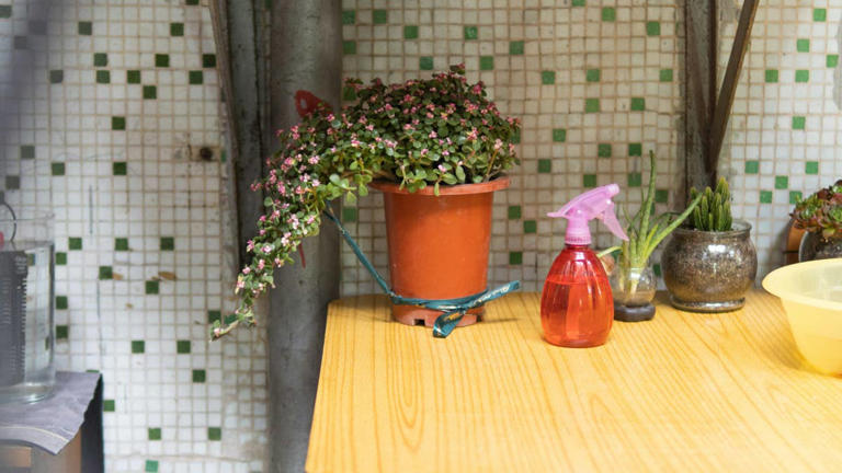 DIYer transforms thrifted baker's rack into adorable potting table with ...