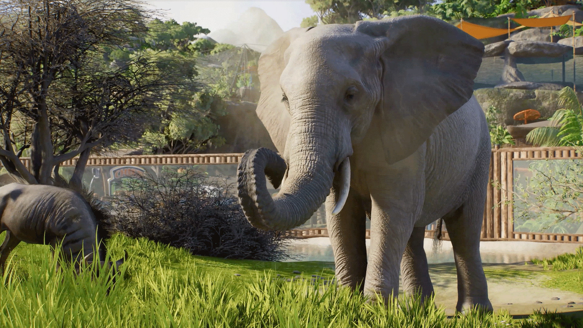 Planet Zoo 2 - Official announcement trailer