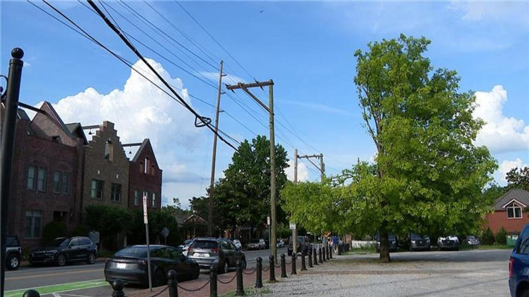 NES tree trimming efforts draw complaints from some Nashville ...