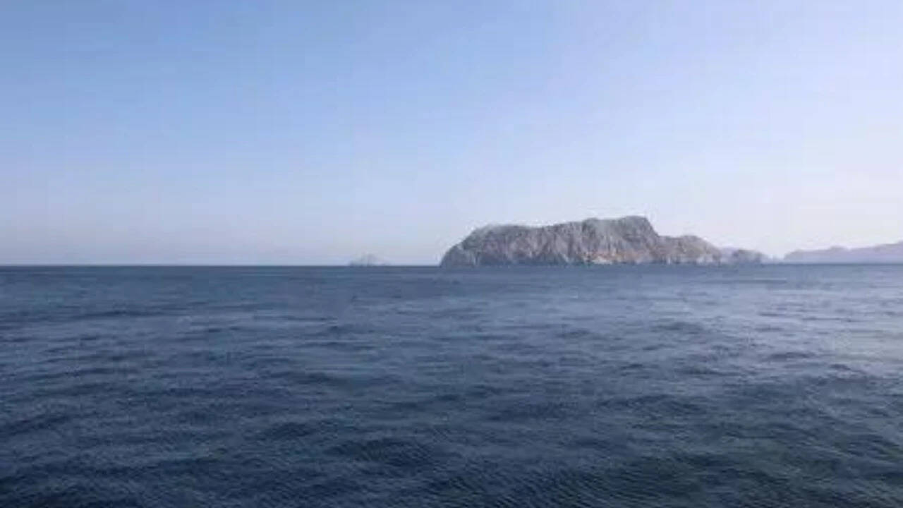 Fertiliser stuck in Persian Gulf, Govt plans to move it by road to port