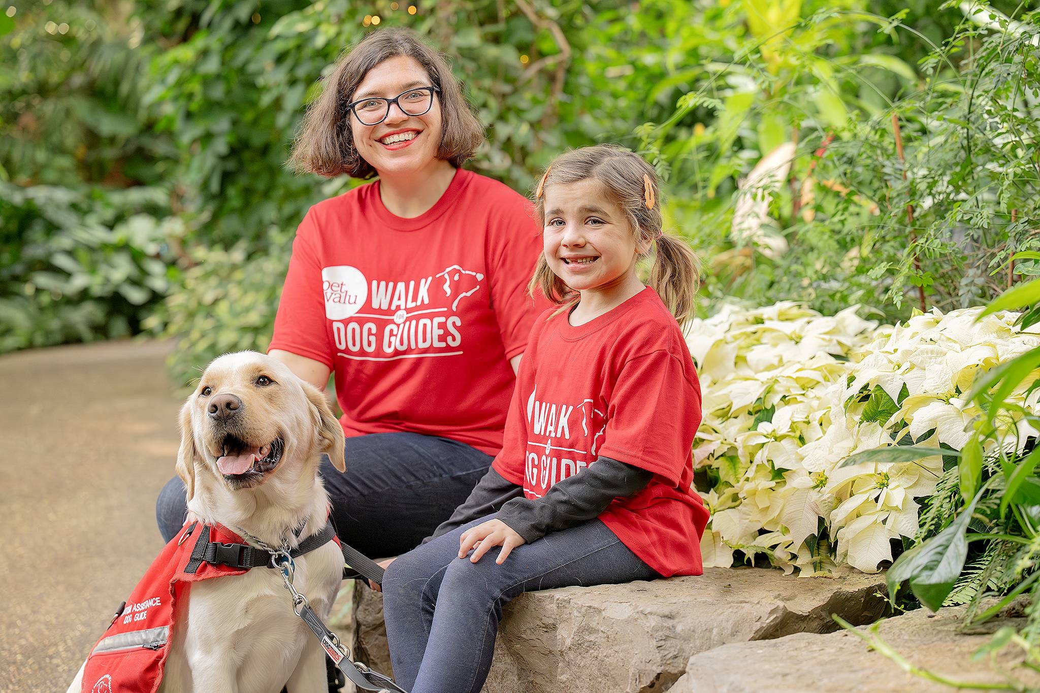 'Life changing dog': Lions Foundation hosting Walk for Dog Guides at ...