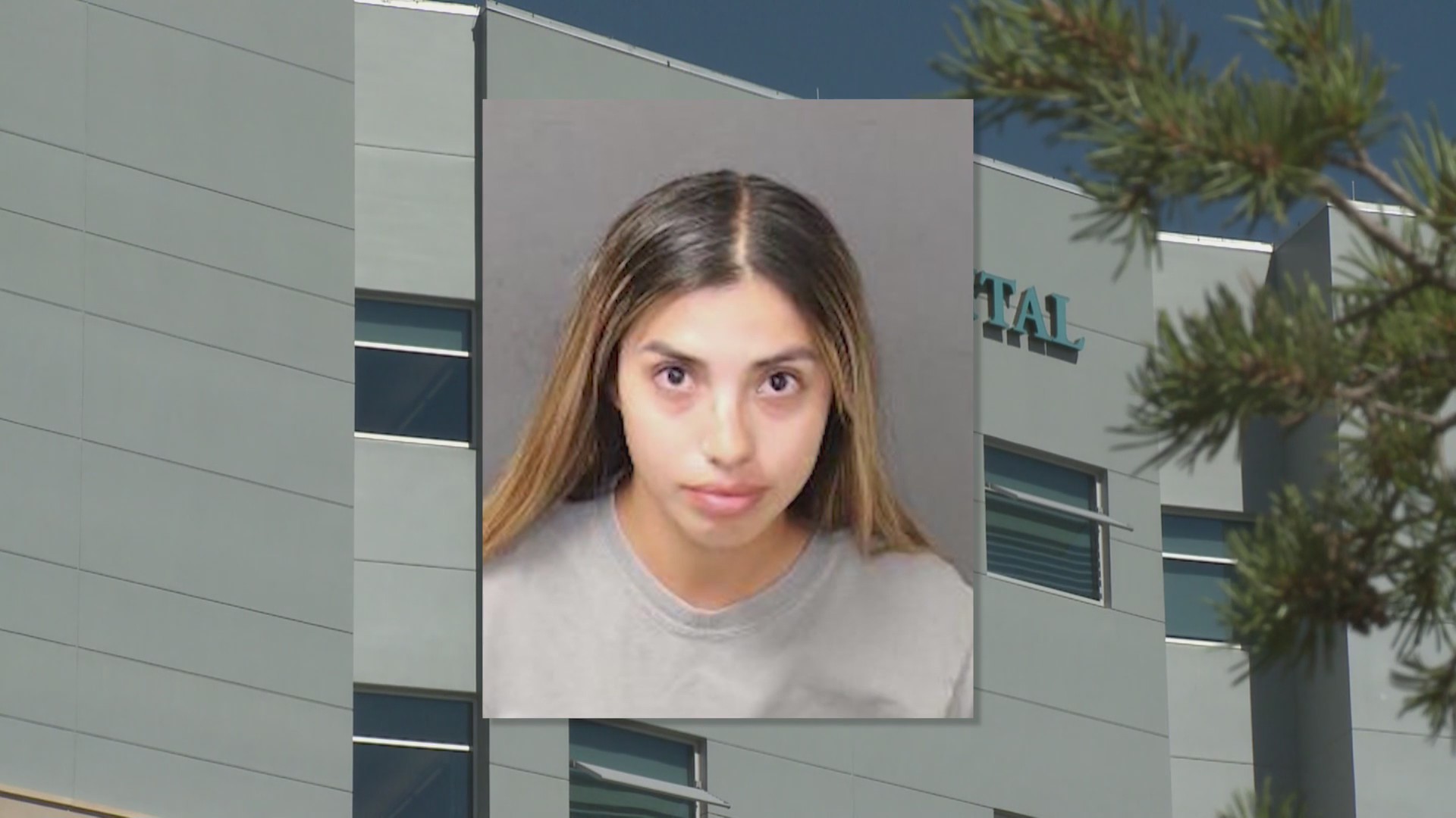 Albuquerque mom who admitted to abusing her baby granted conditional ...