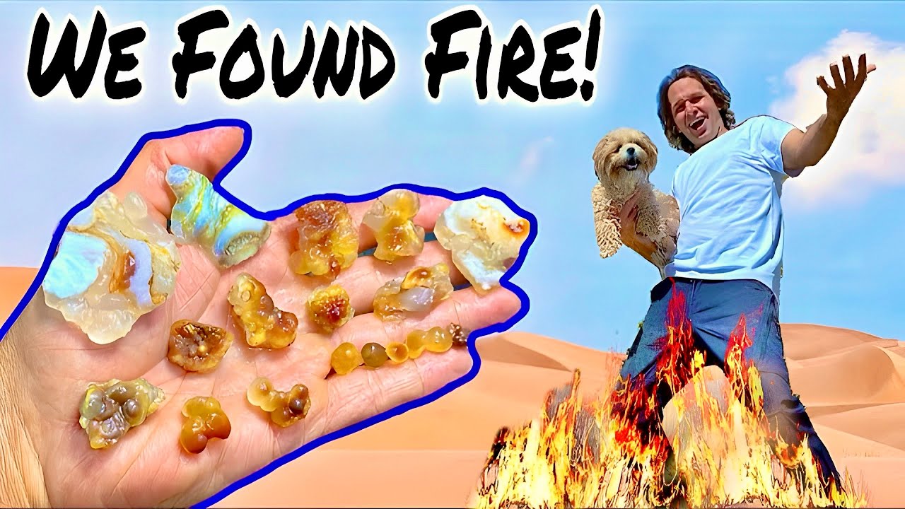 Fire agate collecting & hitting it big in Arizona!