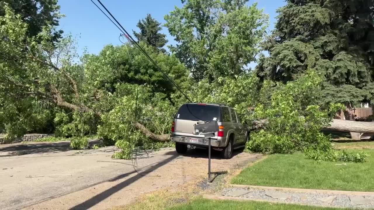 Boise storm knocks out power, topples trees across the Bench