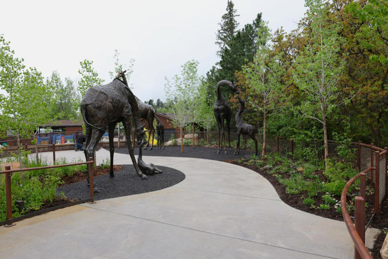 CMZoo opens new admissions area, previews Giraffe Center