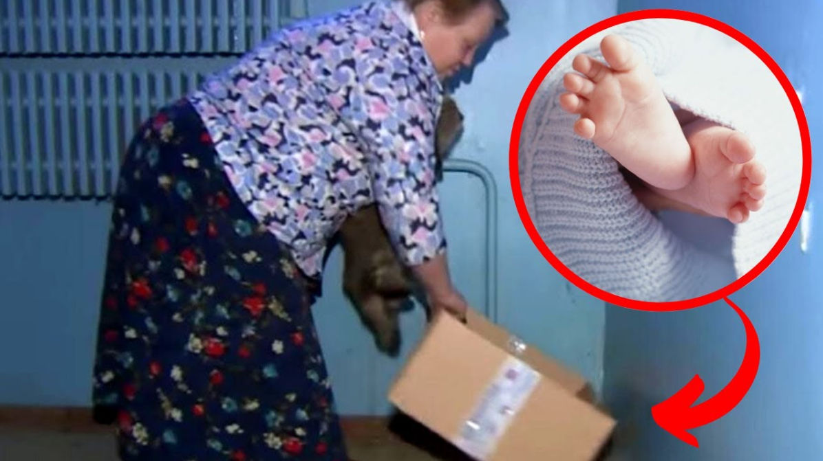 Cat was leading a lady to a box, when she saw what was inside, she ...