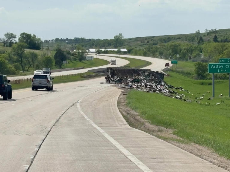 Crash spills bees on I-94; allergic residents urged to stay indoors