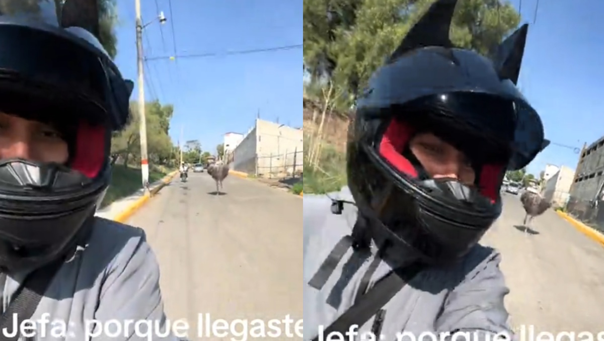 ¡Le ganó a la IA! Joven en motocicleta se graba siendo perseguido por ...